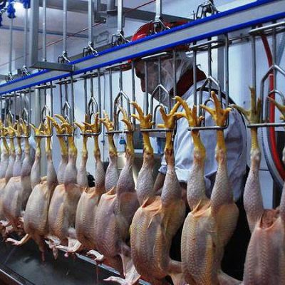 Organic chicken vs non-organic: what's the difference? | Sustainable food