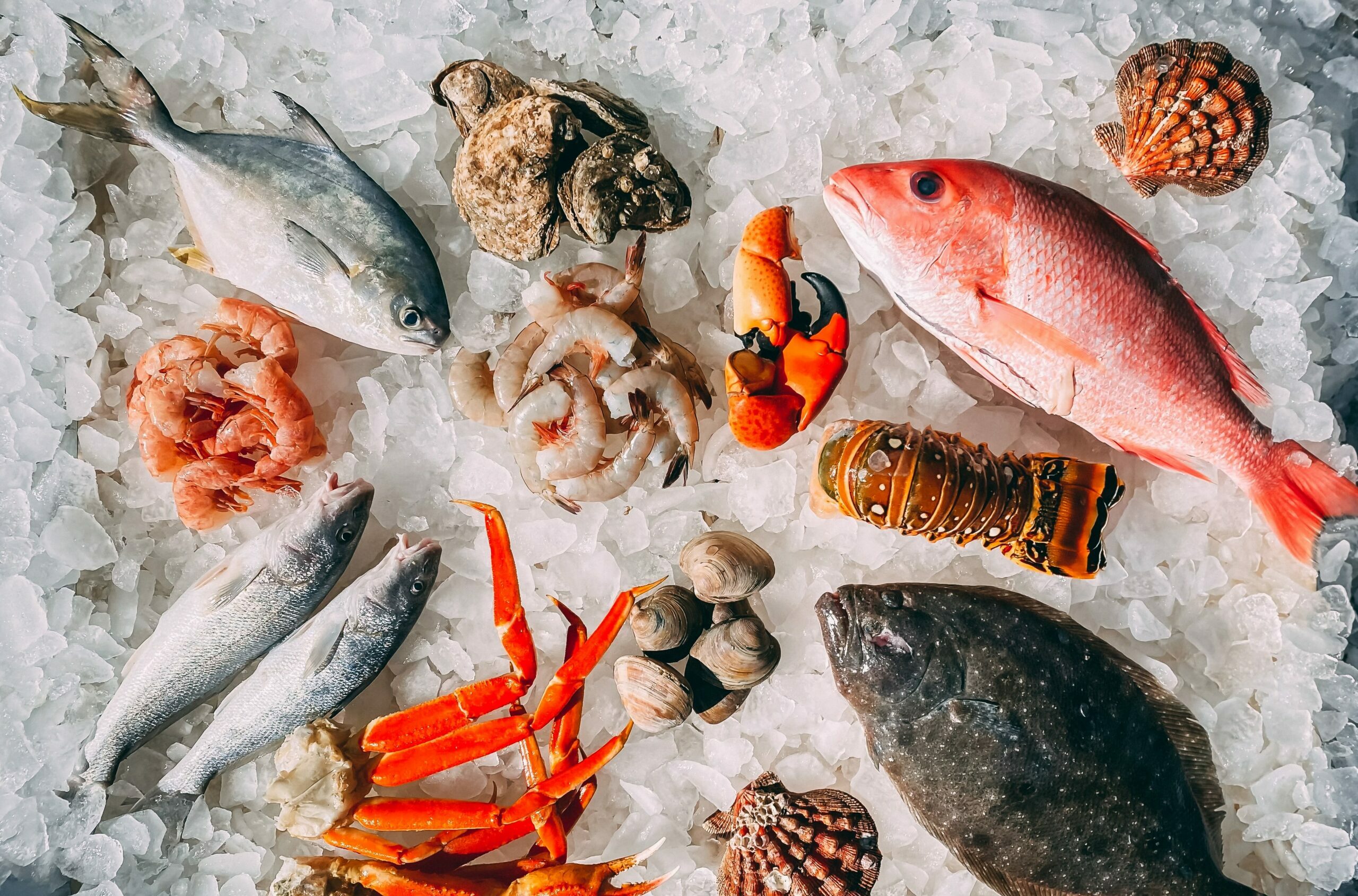 What does sustainable seafood really mean? | Sustainable food