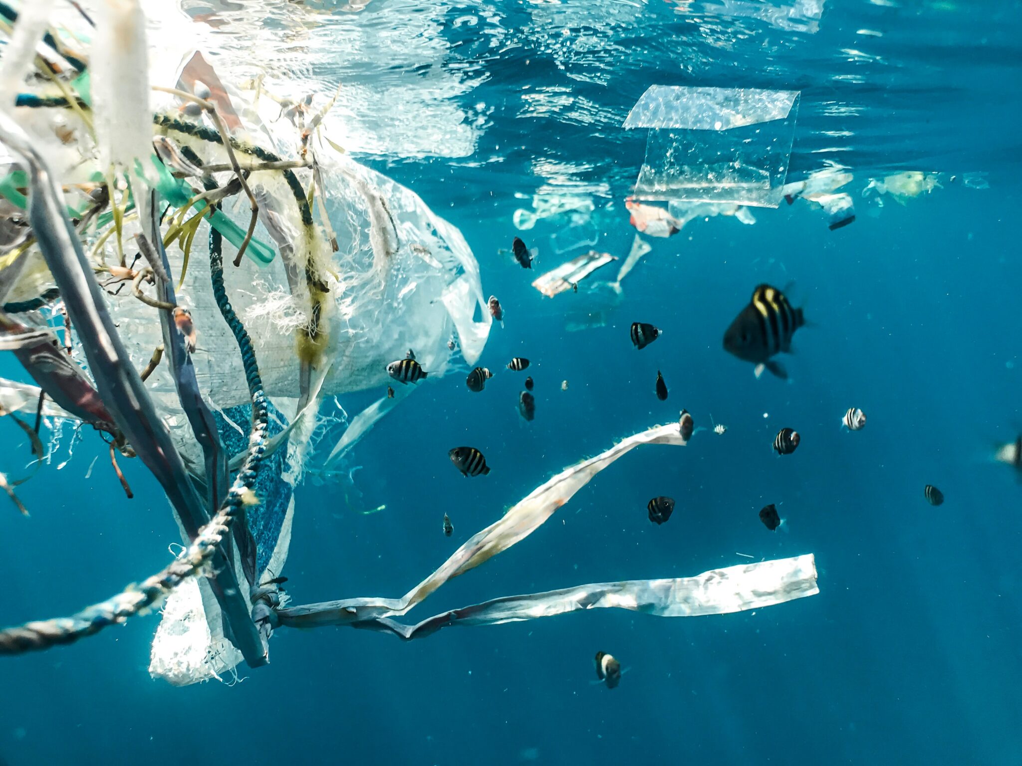 Is plastic bad? Plastic myths busted... | Sustainable thinking
