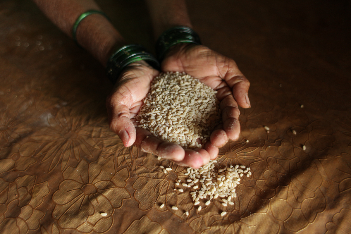 Sustainable food | Eating to Extinction: Why food diversity is essential...